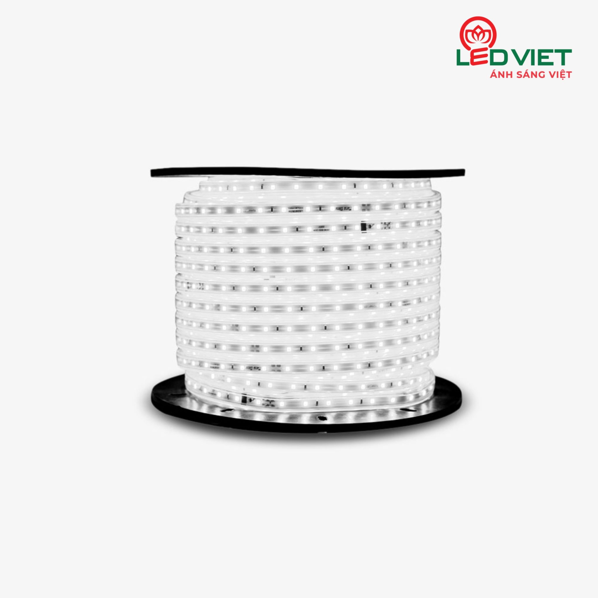 Đèn LED dây Rạng Đông- Đèn LED [CHÍNH HÃNG], giá siêu rẻ