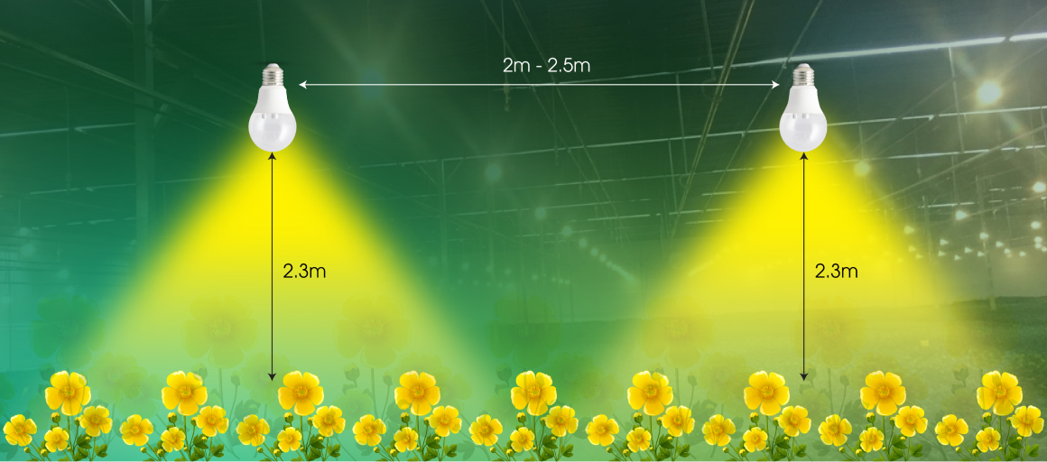 Bóng đèn LED búp Rạng Đông hoa Cúc LED HC A60/9W
