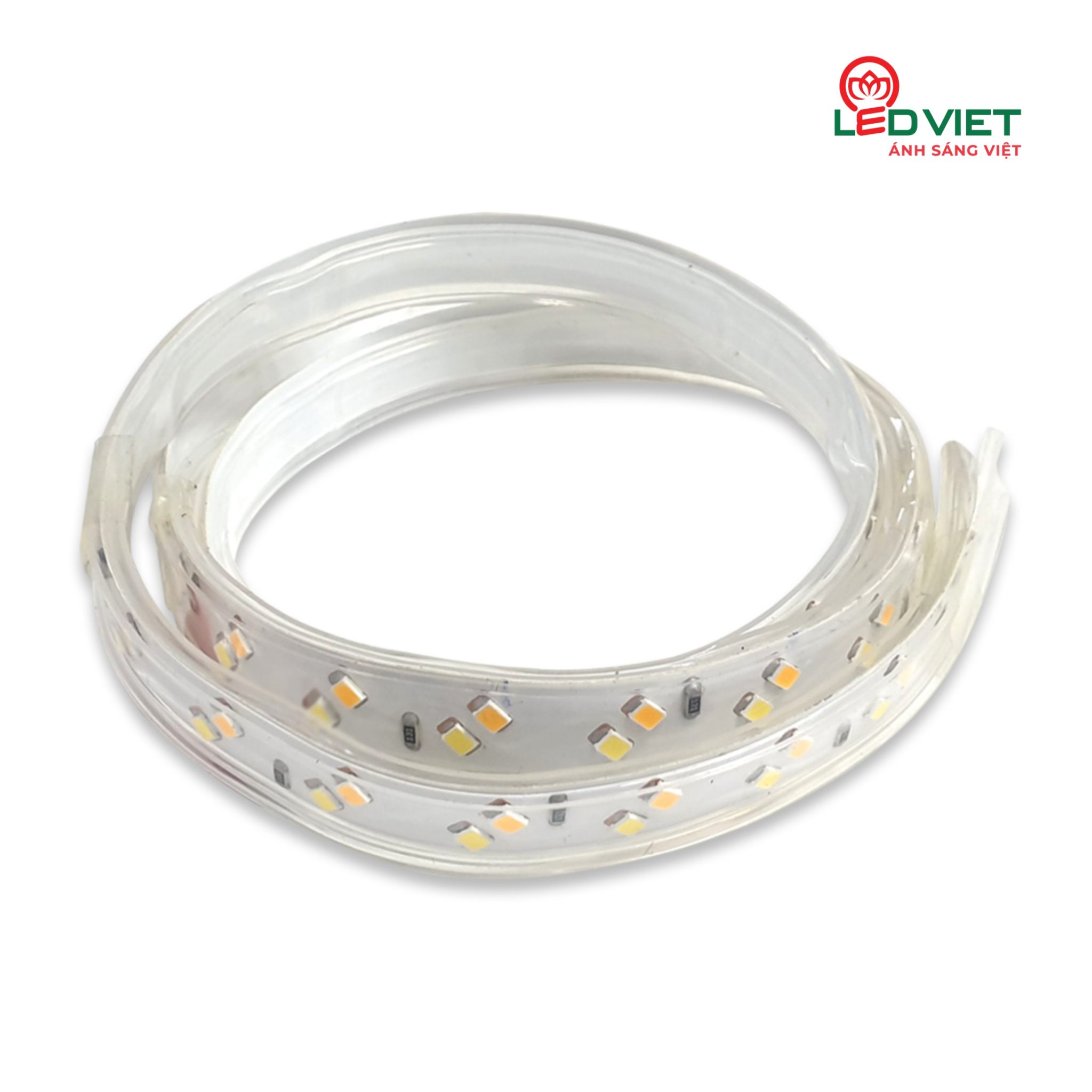 Đèn LED dây Rạng Đông- Đèn LED [CHÍNH HÃNG], giá siêu rẻ